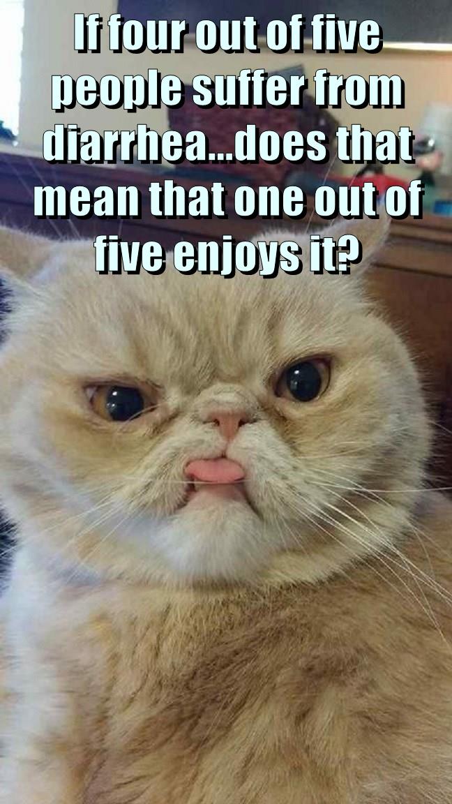 This joke should go in the toilet - Lolcats - lol | cat memes | funny ...