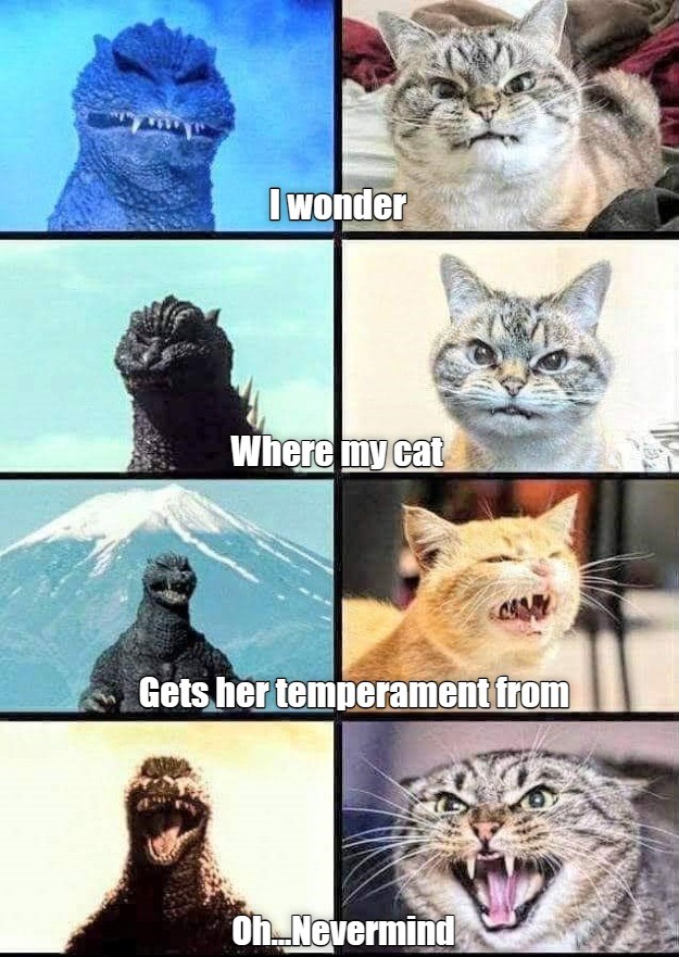 Catzilla - Lolcats - lol | cat memes | funny cats | funny cat pictures ...