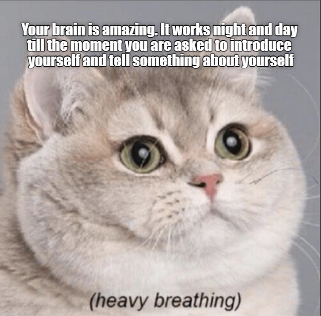 It's an Introverts Anonymous Moment - Lolcats - lol | cat memes | funny ...