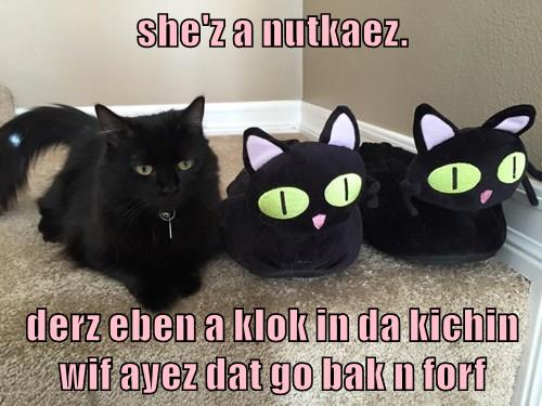 Koo-koo, koo-koo - Lolcats - lol | cat memes | funny cats | funny cat ...