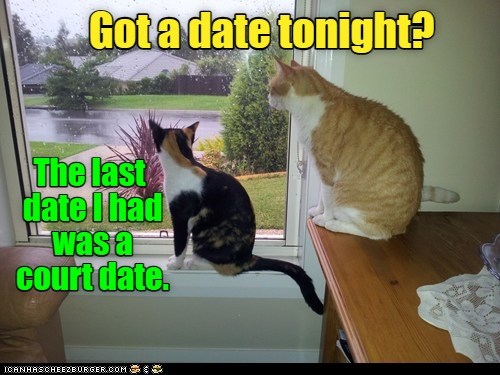 Yep, It's That Bad. - Lolcats - lol | cat memes | funny cats | funny ...