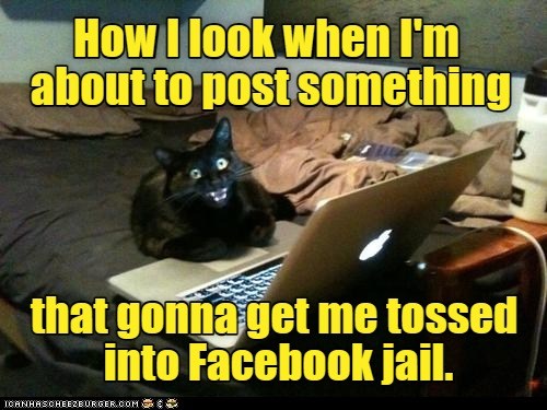 Repeat offender. - Lolcats - lol | cat memes | funny cats | funny cat ...