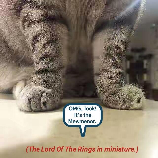 The Lord Of The Rings in miniature - Lolcats - lol | cat memes | funny ...