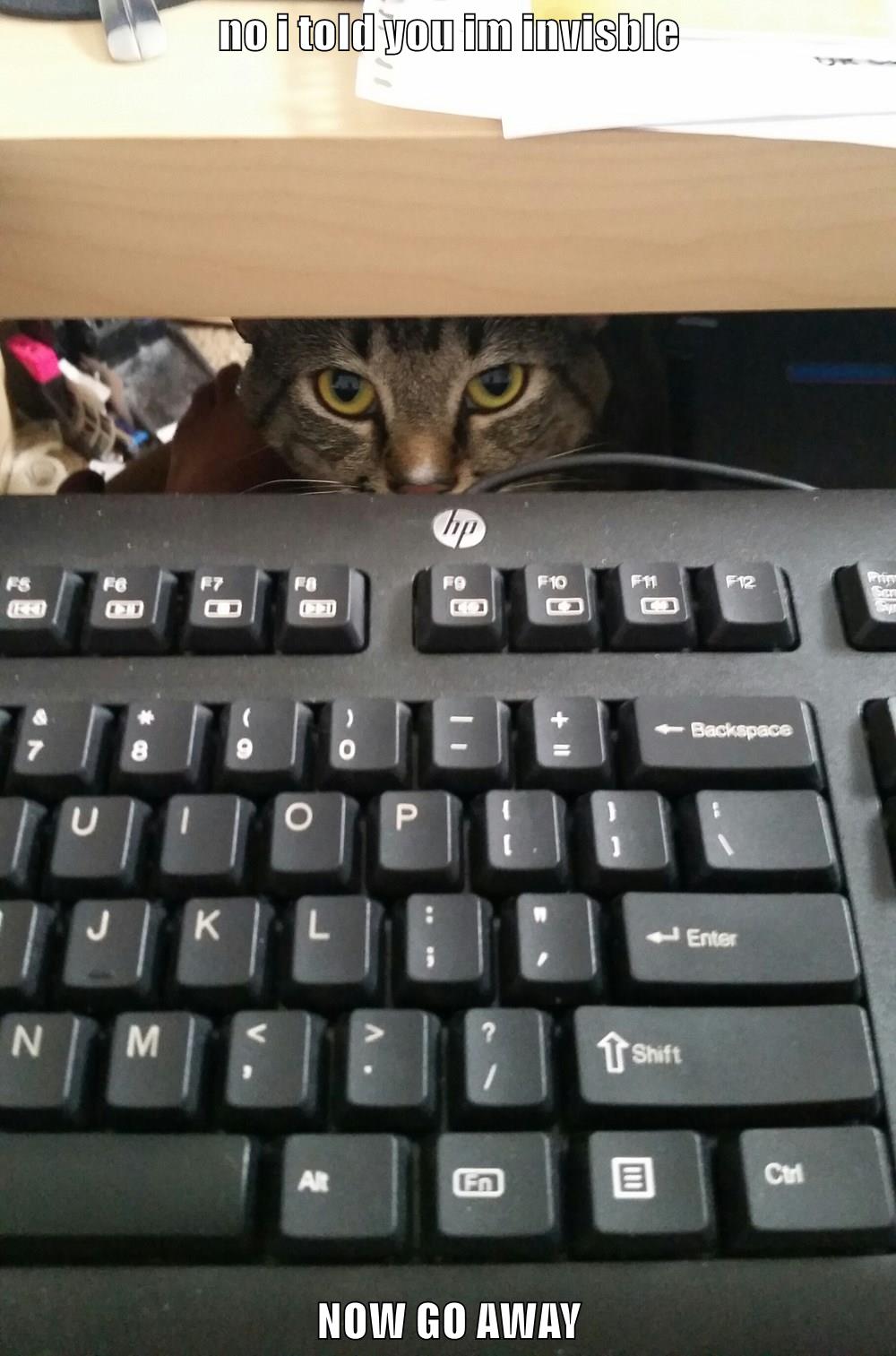 You heard the invisible cat - Lolcats - lol | cat memes | funny cats ...