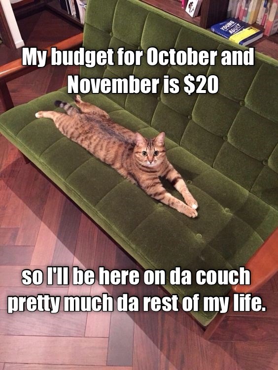 Do not invite me anywhere. - Lolcats - lol | cat memes | funny cats ...