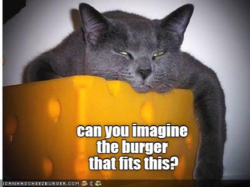I can has? - Lolcats - lol | cat memes | funny cats | funny cat ...