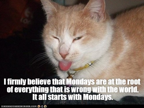 It all starts with Mondays - Lolcats - lol | cat memes | funny cats ...