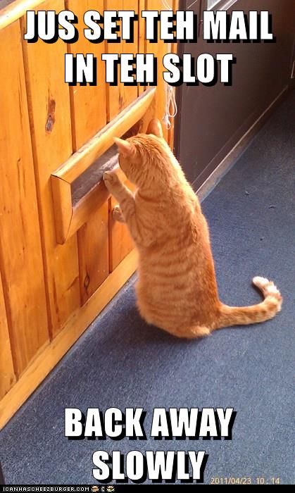 Don't make me take out the claws - Lolcats - lol | cat memes | funny ...