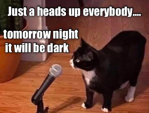 Stay tuned.... - Lolcats - lol | cat memes | funny cats | funny cat ...
