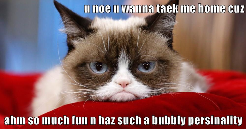 This joke falls flat - Lolcats - lol | cat memes | funny cats | funny ...