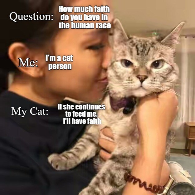 Simple Enough - Lolcats - lol | cat memes | funny cats | funny cat ...