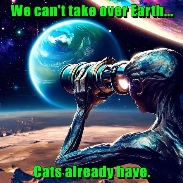 It's a cat's world - Lolcats - lol | cat memes | funny cats | funny cat ...