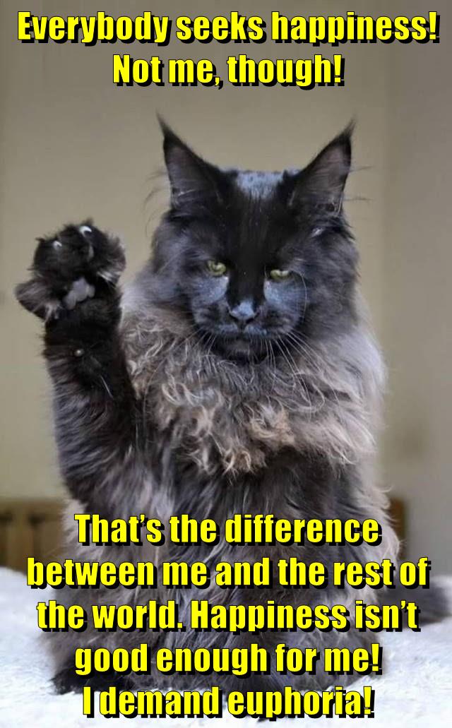 Only the best - Lolcats - lol | cat memes | funny cats | funny cat ...
