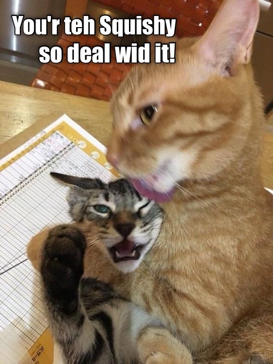 Somebody has to be the Squishy! - Lolcats - lol | cat memes | funny ...