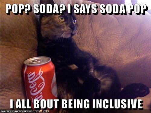 Doesn't hurt anyone to be inclusive - Lolcats - lol | cat memes | funny ...