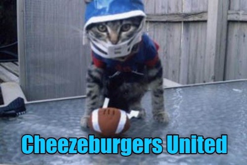 Yep, that's my team - Lolcats - lol | cat memes | funny cats | funny ...