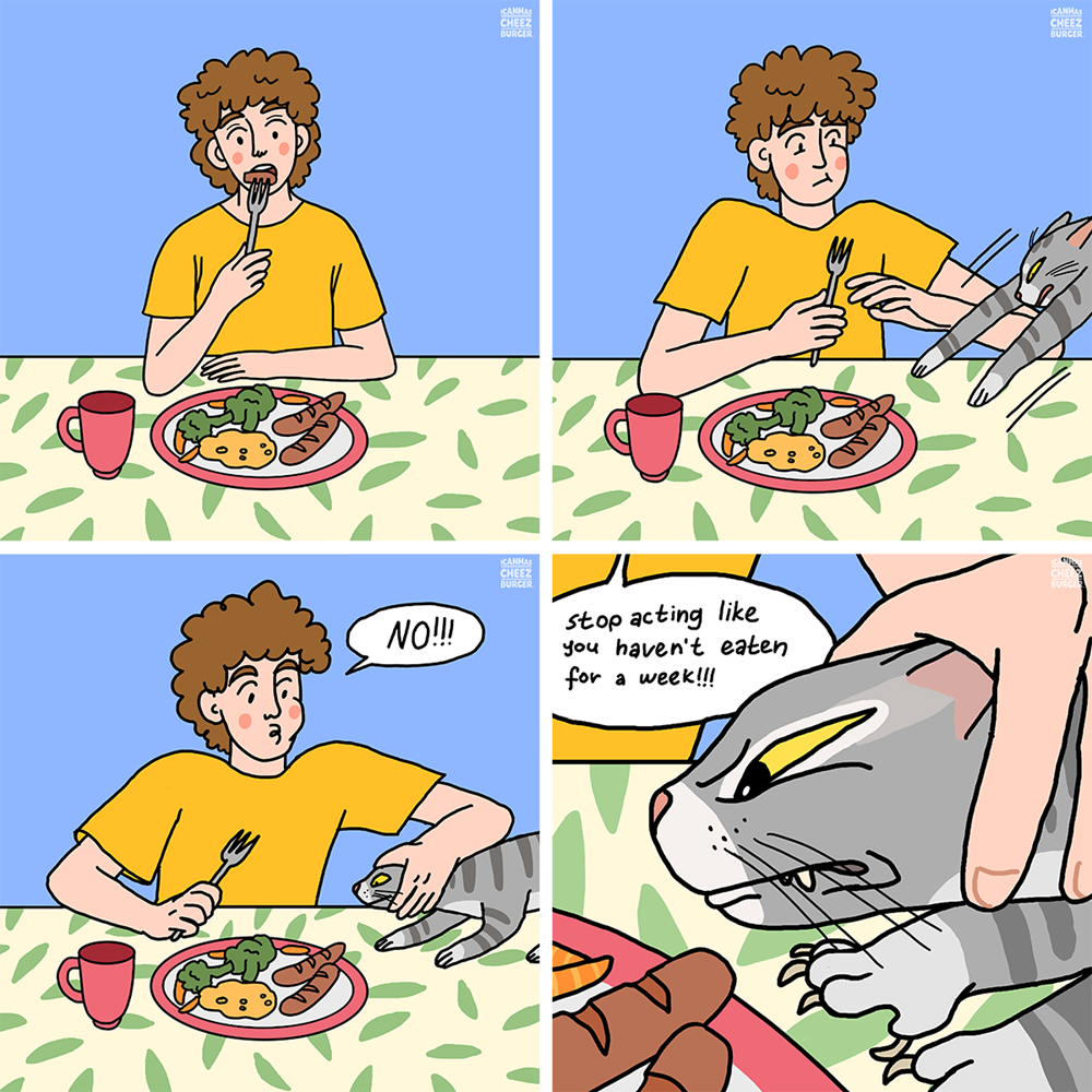 Drama Queen Cats - I Can Has Cheezburger?