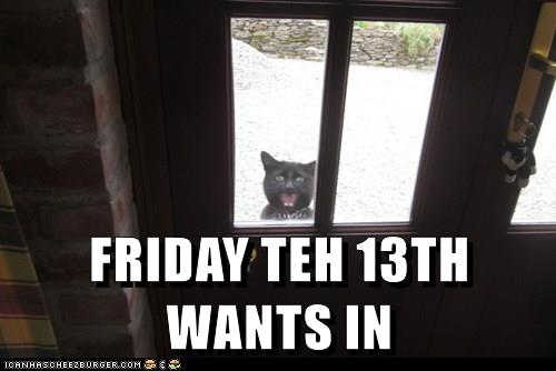Not today - Lolcats - lol | cat memes | funny cats | funny cat pictures ...
