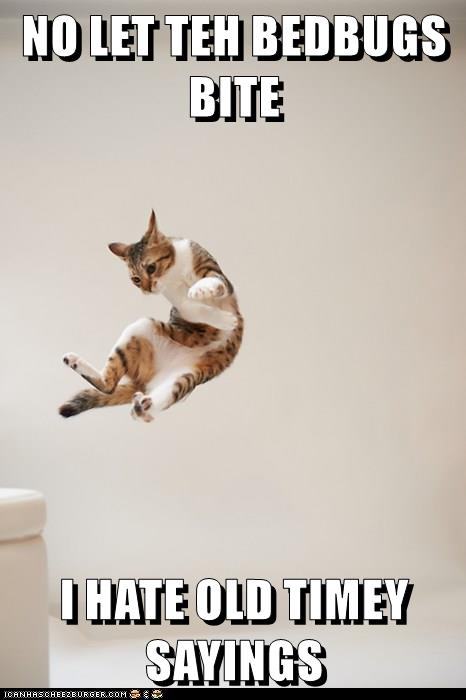 Ew - Lolcats - lol | cat memes | funny cats | funny cat pictures with ...