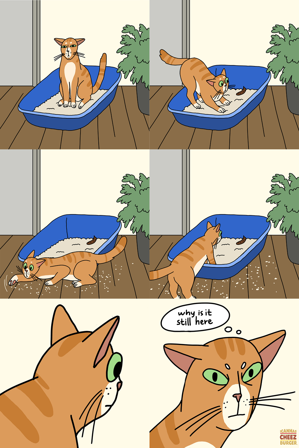 Unsolvable Cat’s Tasks - I Can Has Cheezburger?