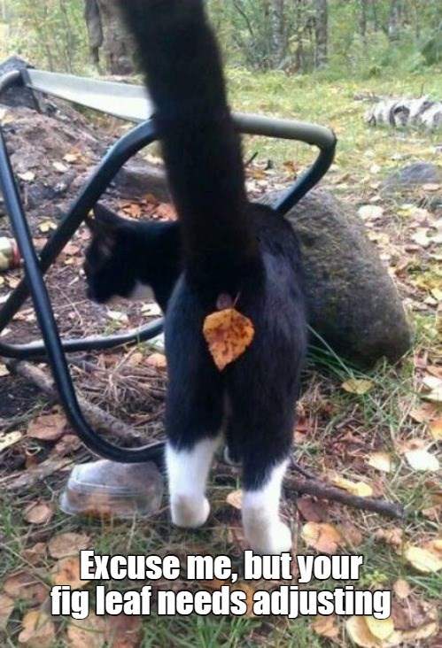 The Dress-Code In The Garden of Eden Needs To Be Enforced - Lolcats ...