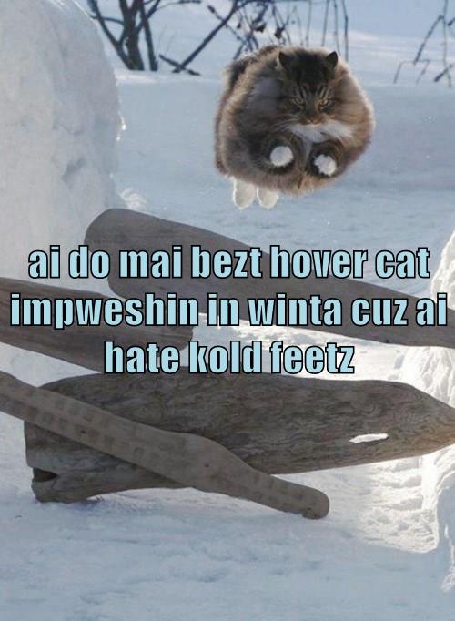 Cold feet - Lolcats - lol | cat memes | funny cats | funny cat pictures ...