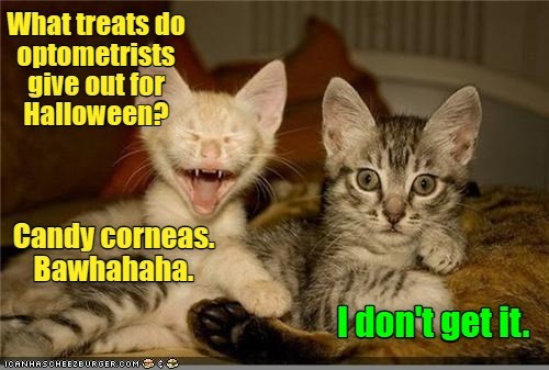 There's one in every crowd. - Lolcats - lol | cat memes | funny cats ...