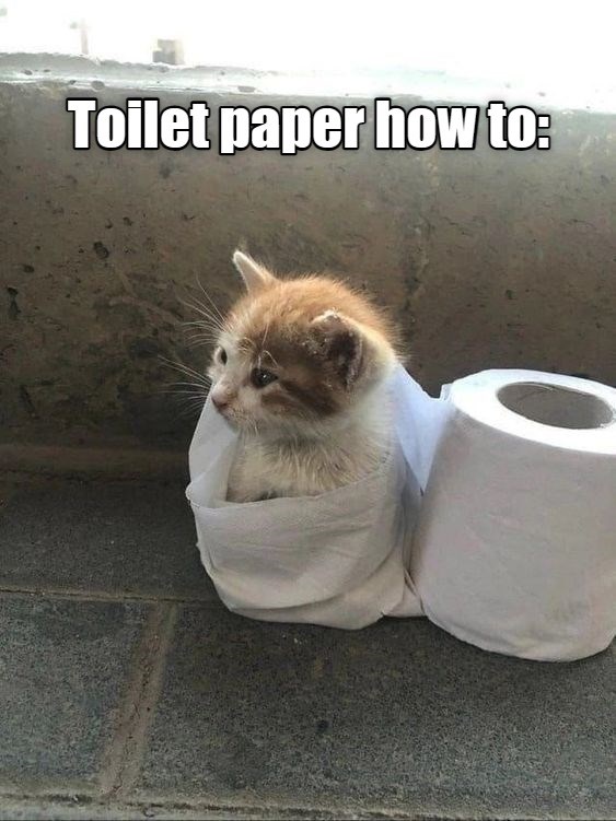 How it's done - Lolcats - lol | cat memes | funny cats | funny cat ...