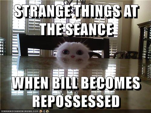 Repossessed - Lolcats - lol | cat memes | funny cats | funny cat ...