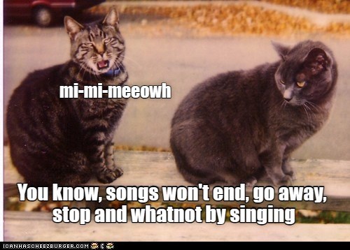 Sing away, you! - Lolcats - lol | cat memes | funny cats | funny cat ...