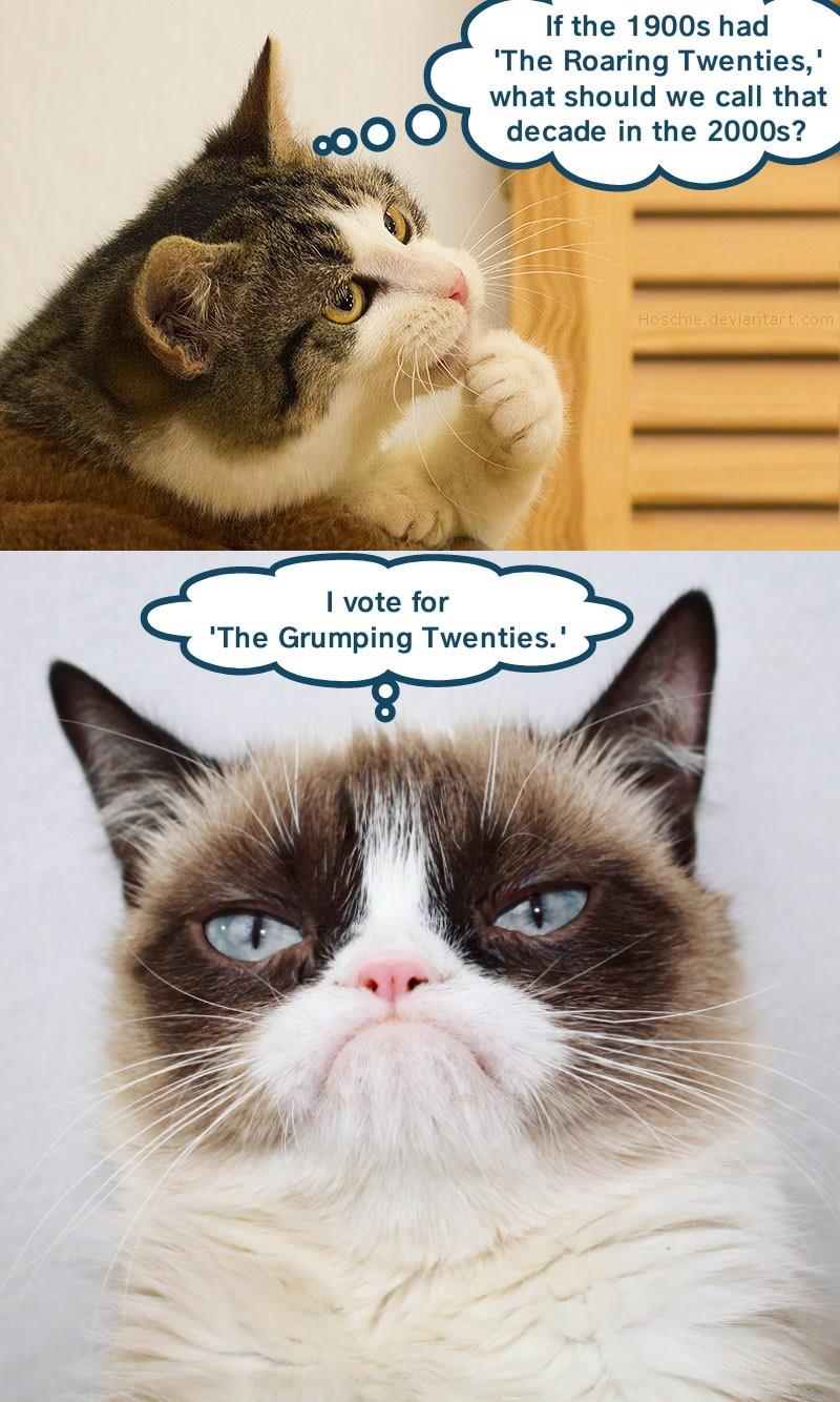 Her spirit lives on - Lolcats - lol | cat memes | funny cats | funny ...