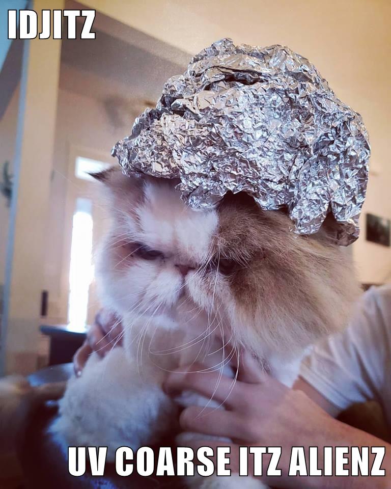 Alienz - Lolcats - lol | cat memes | funny cats | funny cat pictures ...