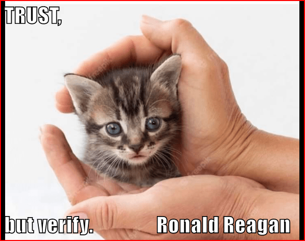 But verify - Lolcats - lol | cat memes | funny cats | funny cat ...