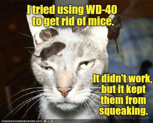 It should have kept them from sticking too. - Lolcats - lol | cat memes ...