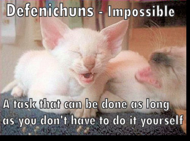 Anything's possible - Lolcats - lol | cat memes | funny cats | funny ...