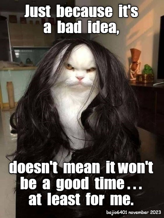 I always have a good time - Lolcats - lol | cat memes | funny cats ...