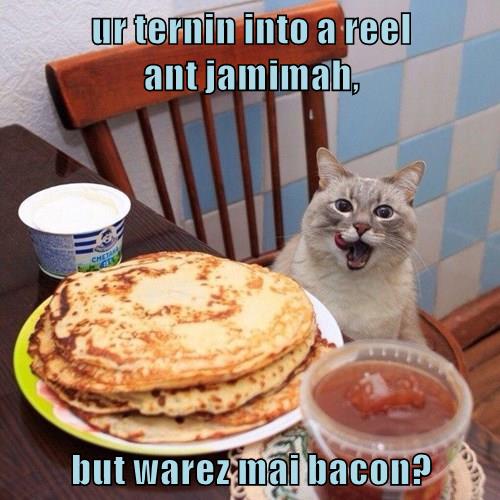 Needz bacon - Lolcats - lol | cat memes | funny cats | funny cat ...