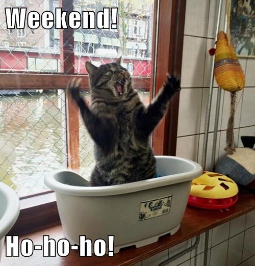 Finally - Lolcats - lol | cat memes | funny cats | funny cat pictures ...
