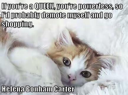 Shopping - Lolcats - lol | cat memes | funny cats | funny cat pictures ...