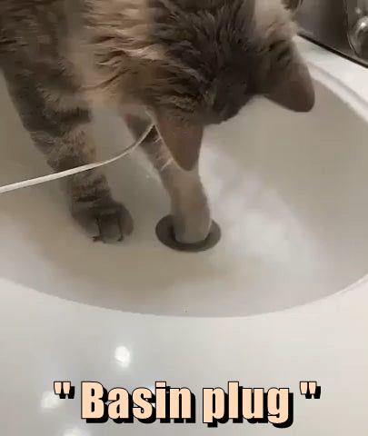 " Basin plug " - Lolcats - lol | cat memes | funny cats | funny cat ...