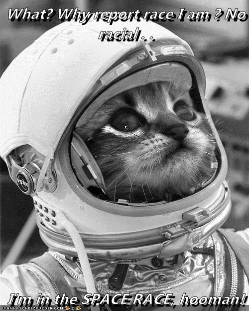 Space race - Lolcats - lol | cat memes | funny cats | funny cat ...
