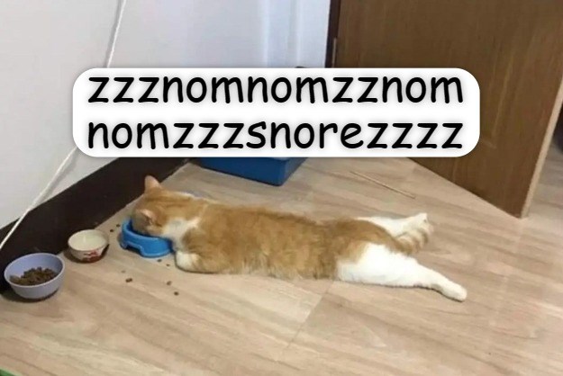 cat style multitasking - Lolcats - lol | cat memes | funny cats | funny ...