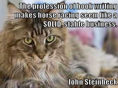 Writing - Lolcats - lol | cat memes | funny cats | funny cat pictures ...