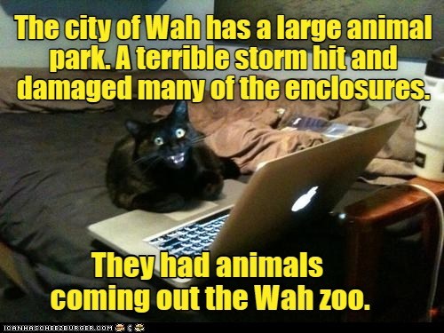 I read it on the Internet so it must be true. - Lolcats - lol | cat ...