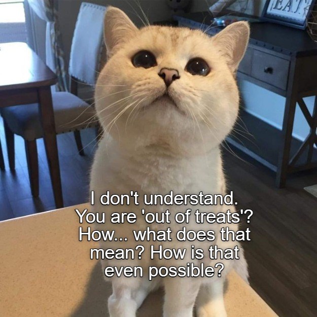 Explain plz, hoomin - Lolcats - lol | cat memes | funny cats | funny ...
