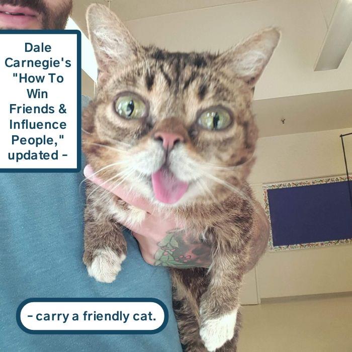 Cat power - Lolcats - lol | cat memes | funny cats | funny cat pictures ...