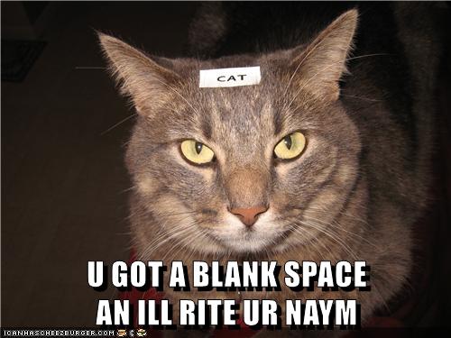In case you forgot - Lolcats - lol | cat memes | funny cats | funny cat ...