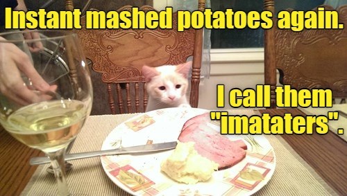 A lump, a lump. My kingdom for a lump. - Lolcats - lol | cat memes ...