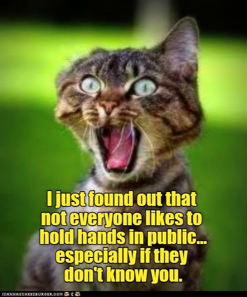 Problem? - Lolcats - lol | cat memes | funny cats | funny cat pictures ...