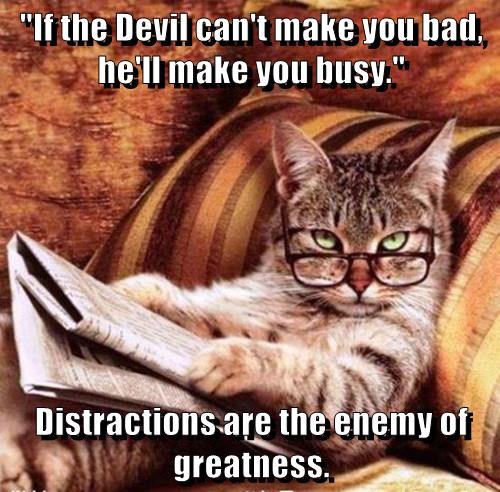 Distractions - Lolcats - lol | cat memes | funny cats | funny cat ...